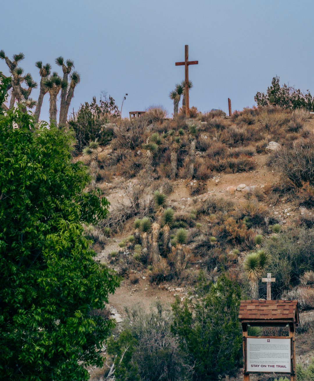 THE SPIRITUAL JOURNEY OF THE DESERT FATHERS AND MOTHERS (Zoom Option ...